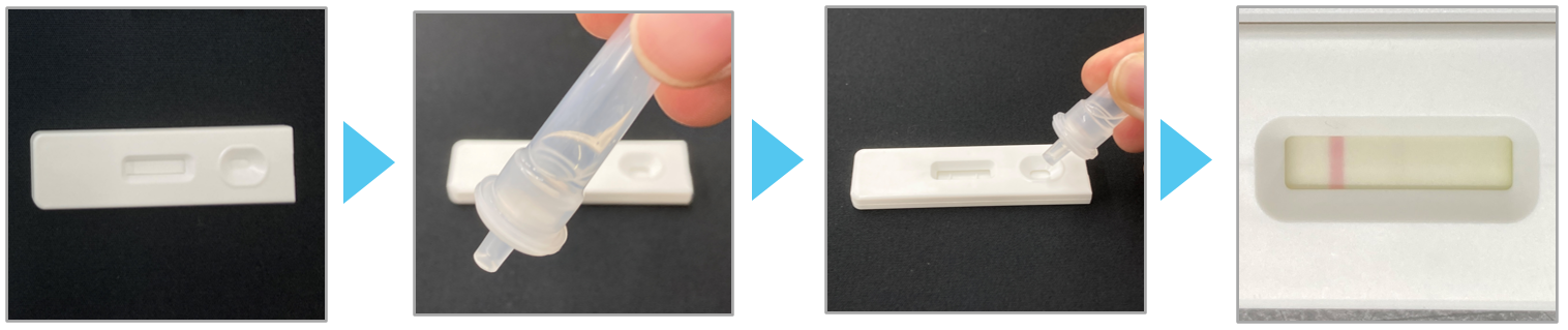 検査方法 ｜ 植物の病気をイムノクロマトで簡単検査｜やさい・くだもの検査キット